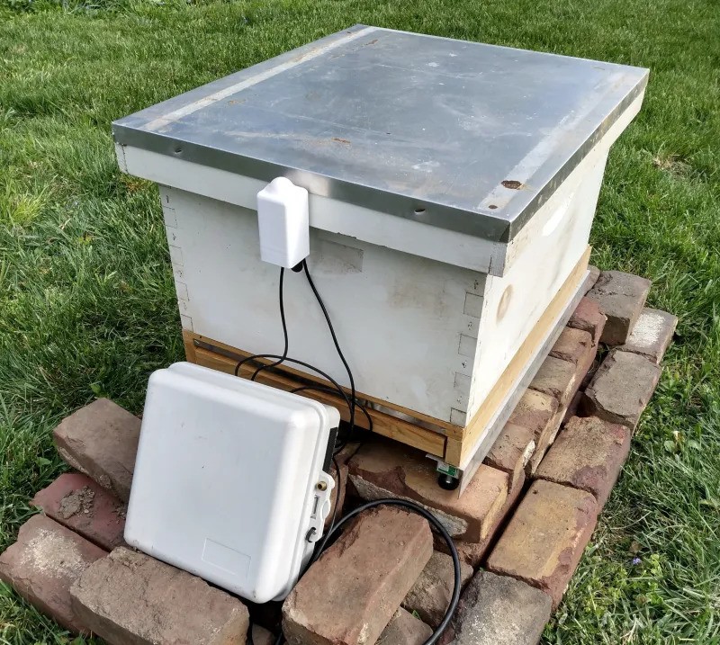 Hive Monitor Is the Bee’s Knees - PiShop Blog